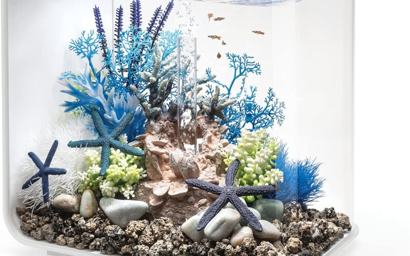 biOrb Flow 30 Aquarium Review