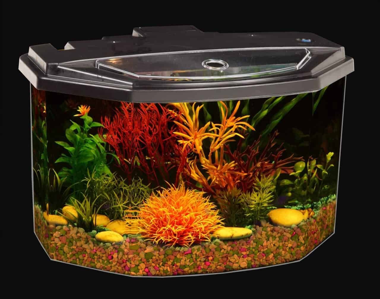 Koller Products Aquarium Starter Kit Review