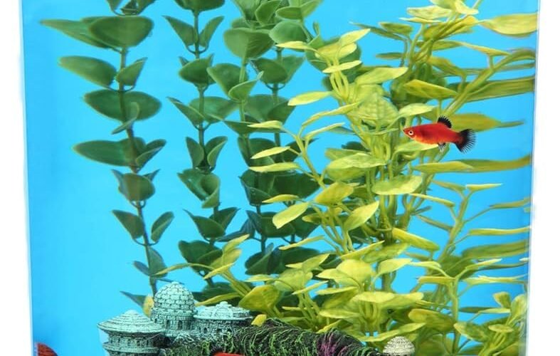 Koller Products Plastic 6-Gallon AquaView 360 Aquarium Kit Review