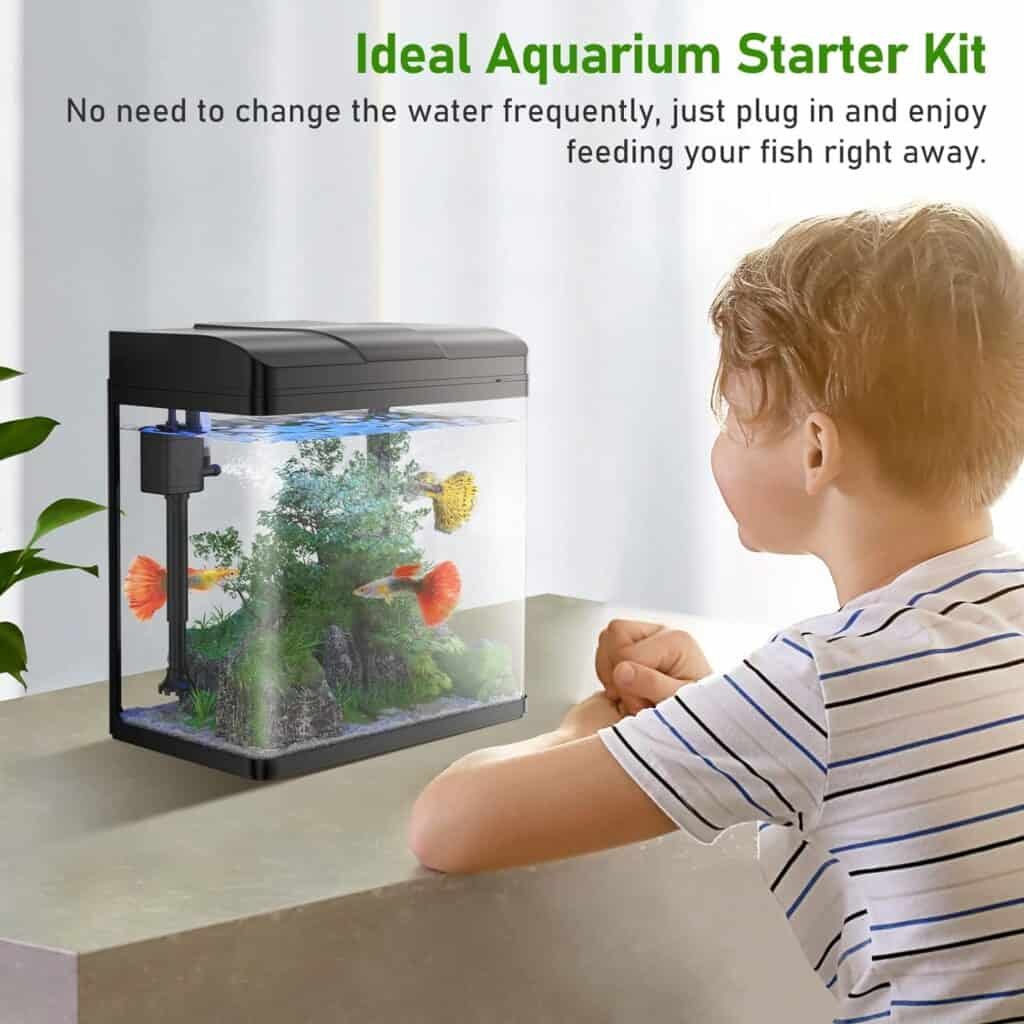 PONDON Betta Fish Tank Review