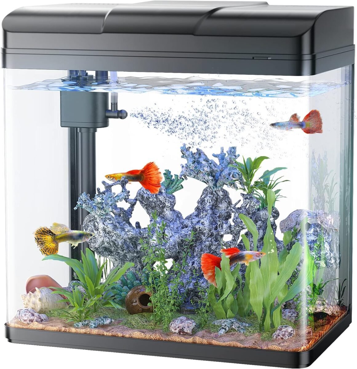 Dwarf Crayfish Care Guide: Appearance, Habitat And Breeding